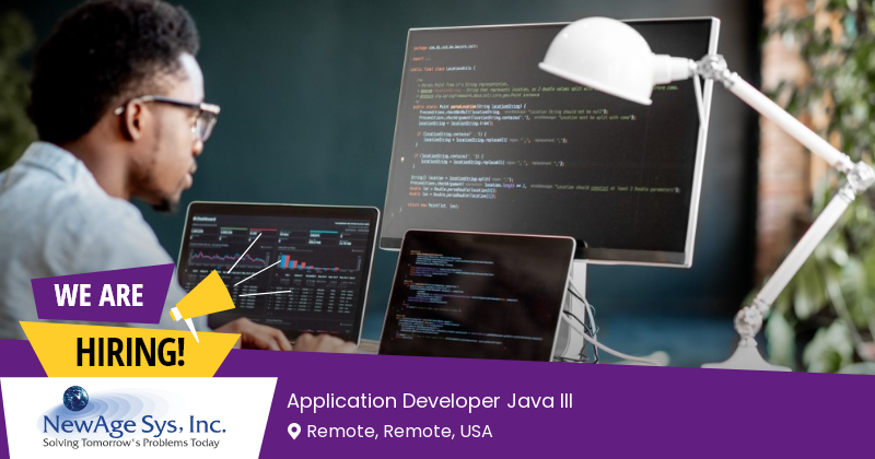 NewAgeSys Inc | Application Developer Java III